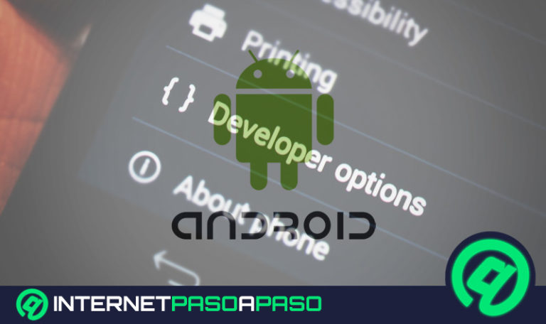 Opciones de Desarrollador en Android 】Qué Son + Activación 2025