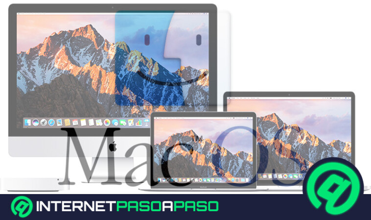 Usar Internet Explorer en MacOS 】Guía Paso a Paso 2025