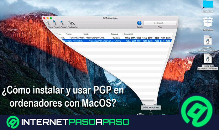 Usar Internet Explorer en MacOS 】Guía Paso a Paso 2025
