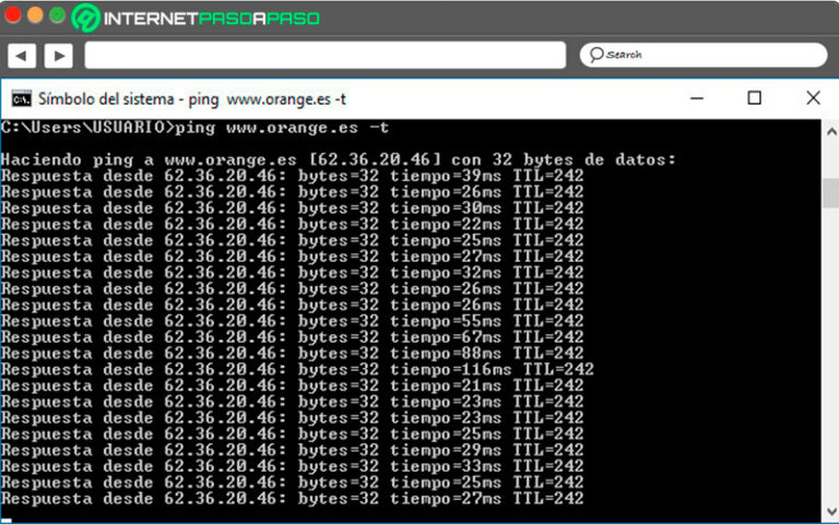 Tener Una IP Fija Gratis 】Guía Paso a Paso 2025