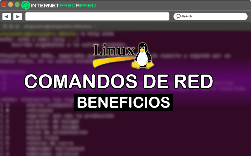 Comandos de Red en Linux 】¿Qué Son? + Lista 2025