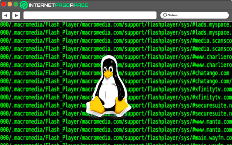Shell de Linux 】¿Qué Es? + Características 2025