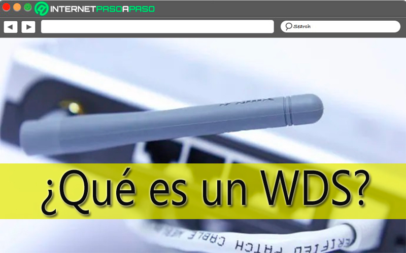 WDS 】¿Qué Son? + Tecnicas Utilizadas 2025
