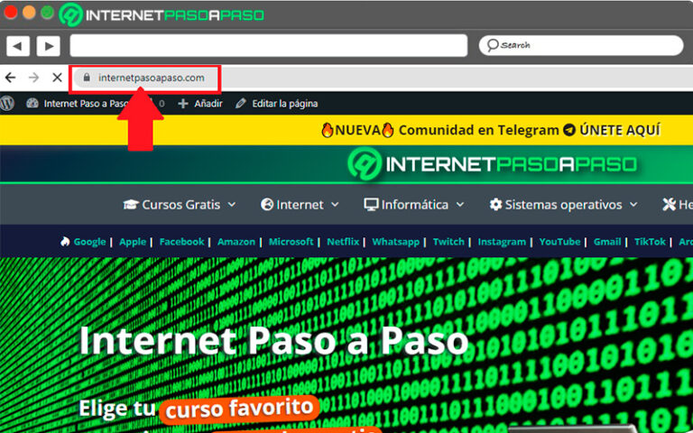 Comprar Dominio de Internet 】Guía Paso a Paso 2025