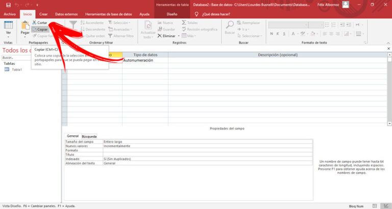 Ventana Principal de Microsoft Access 】¿Qué Es? + Secciones 2025
