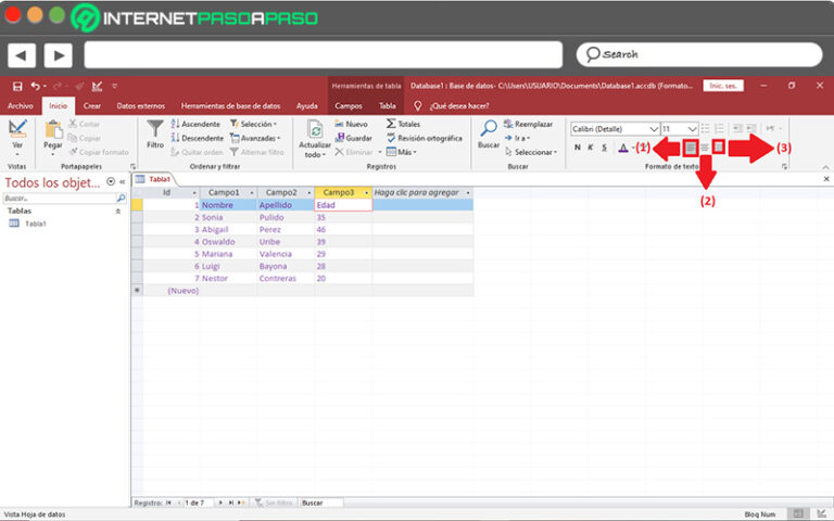 Dar Formato a Texto en Access 】Guía Paso a Paso 2025