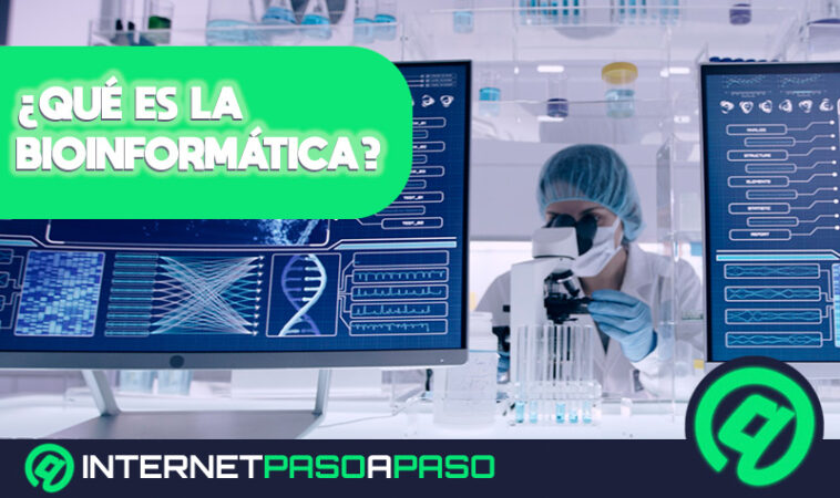 Bioinformática 】 ¿Qué Es? + Historia y Origen 2025