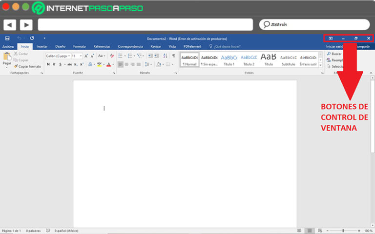 Microsoft Word Main Window What is it and what is it for?