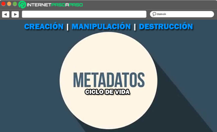 METADATOS 】¿Qué Son? + Ventajas de Gestionarlos 2026