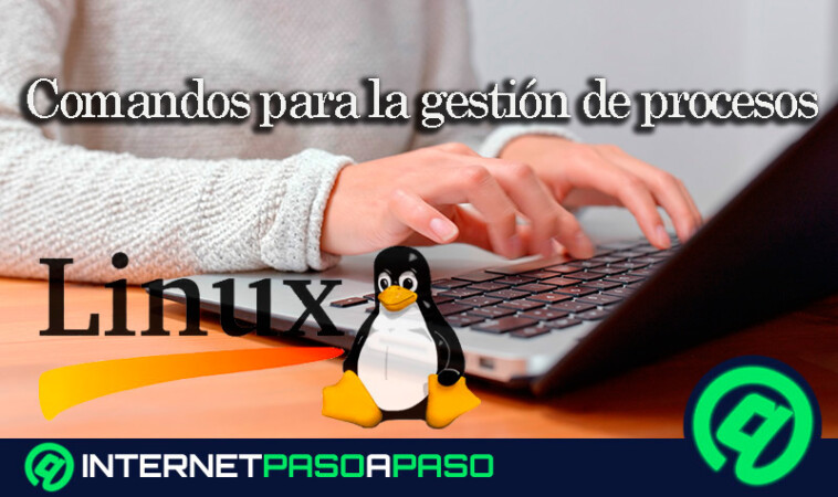 Comandos para Gestión de Procesos de Linux 】¿Qué Son? 2025