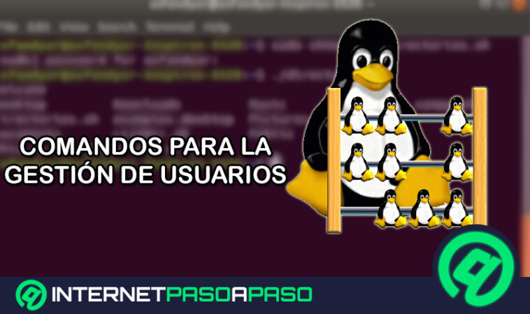 Comandos para Gestionar Usuarios de Linux 】¿Qué Son? + Lista 2025