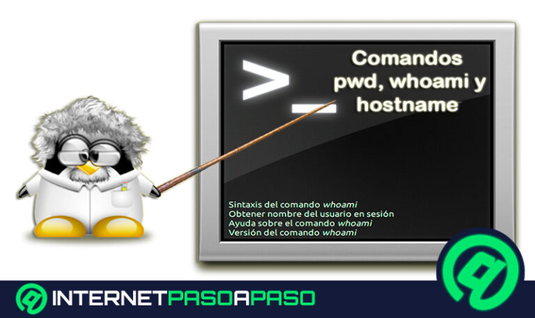 Comandos PWD, Whoami y Hostname en Linux 】¿Qué Son? 2025