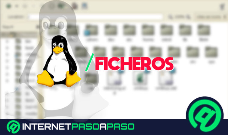Abrir Programa desde Consola en Linux 】Guía paso a Paso 2025