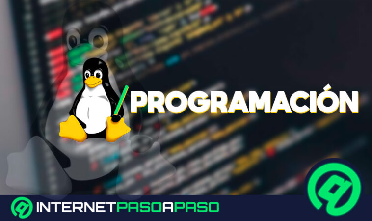 Abrir Programa desde Consola en Linux 】Guía paso a Paso 2022