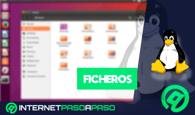 Abrir Programa desde Consola en Linux 】Guía paso a Paso 2025