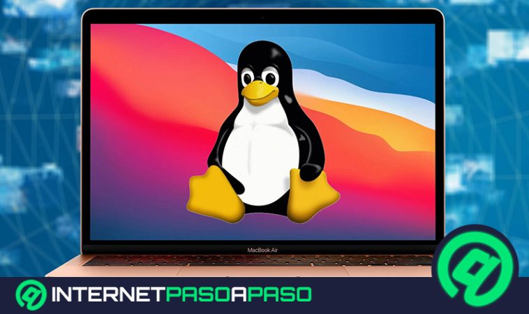 Abrir Programa desde Consola en Linux 】Guía paso a Paso 2025