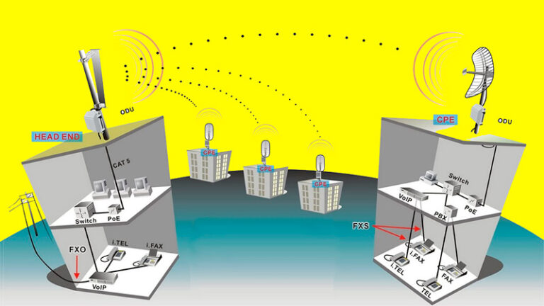 RED CAN 】Qué es + Tipos + Cómo crear 2025