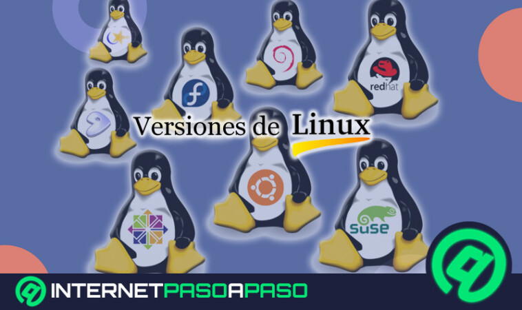 Cronología: Versiones del S.O. Linux 】Lista 2025