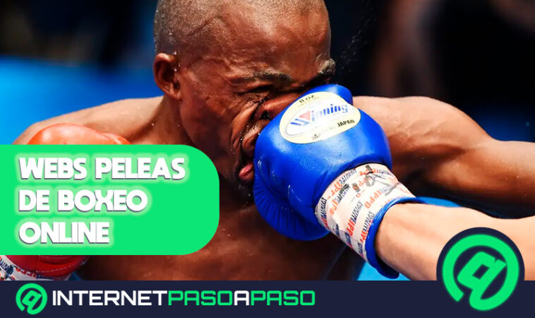 10+5 Webs para Ver Corridas de Toros 】Lista 2025