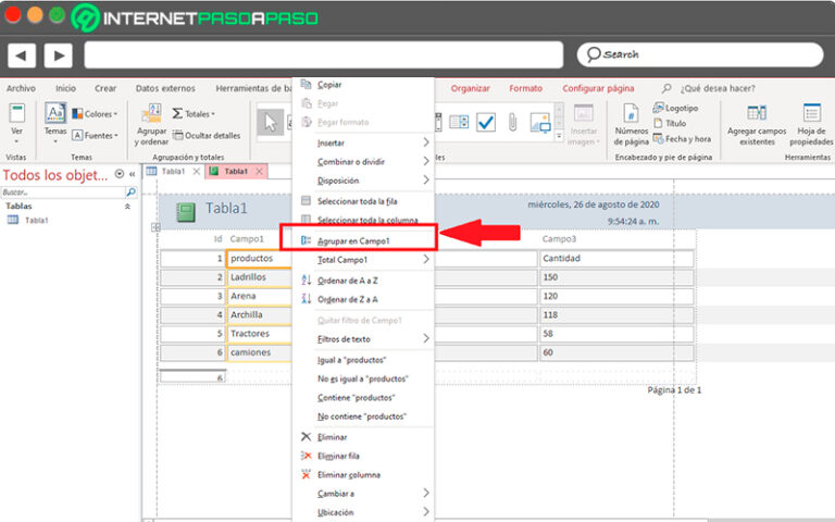 How to create a Summary or Grouped Report in a Microsoft Access database? step by step guide
