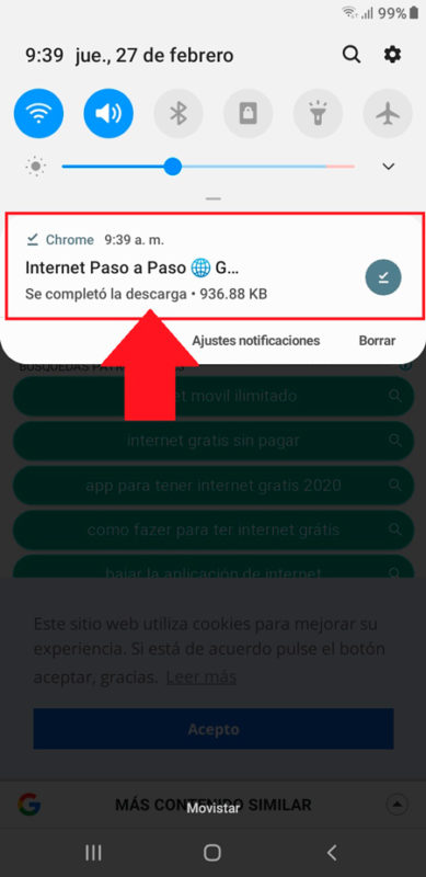 How to surf offline on the Internet from any device? step by step guide