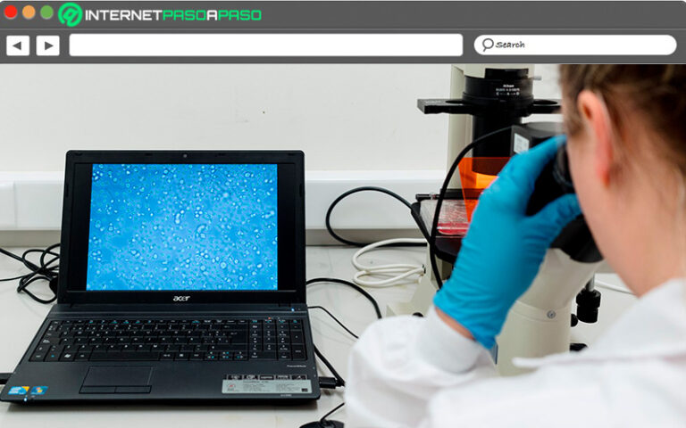 Bioinformática 】 ¿Qué Es? + Historia y Origen 2025