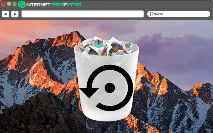 How to recover deleted files and documents on MacOS easily and quickly ...