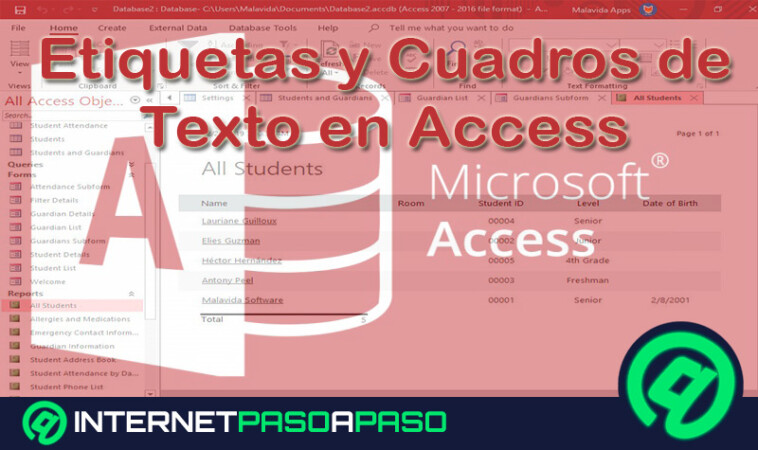 Botones de Control Access 】¿Qué Son? + Guía 2025