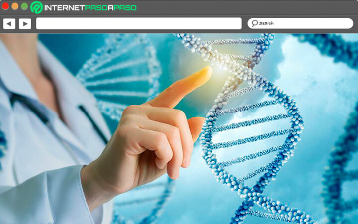 Genómica 】 ¿Qué Es? + Usos y Limitaciones 2025