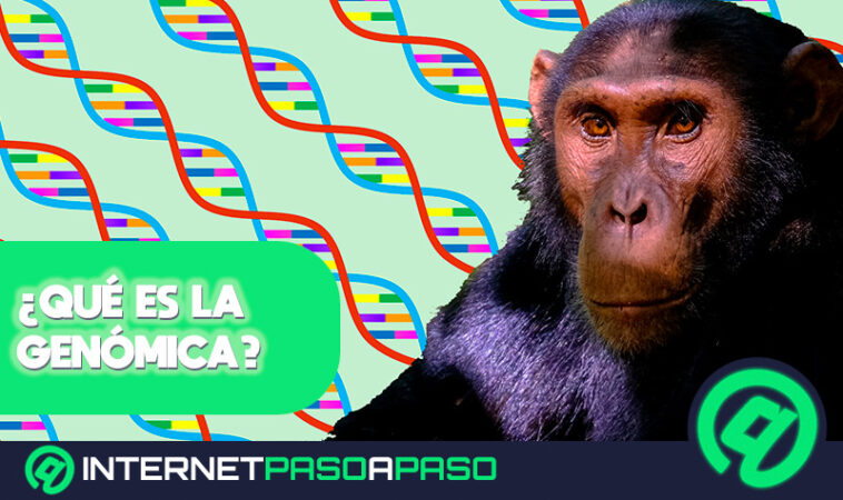 Genómica 】 ¿Qué Es? + Usos y Limitaciones 2025