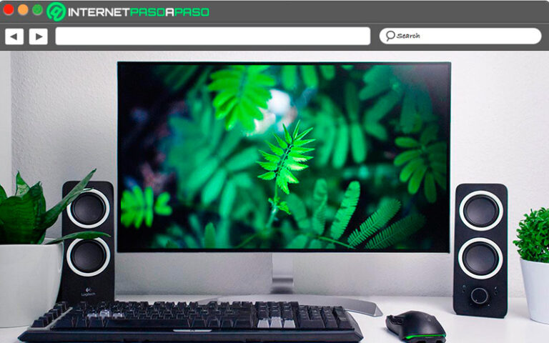 Todos los Tipos de Monitores Que Existen 】Lista 2025