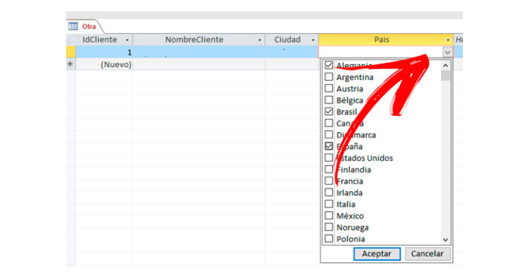 Crear Columna de Búsqueda Multivalor en Access 】Guía 2025