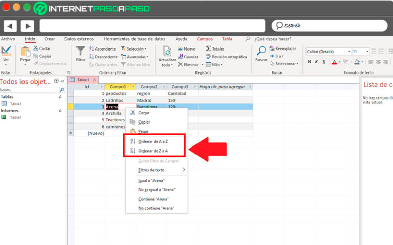 How to create a Summary or Grouped Report in a Microsoft Access database? step by step guide