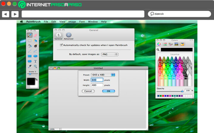 How to install Paint for MacOS? Best Windows Program Alternatives