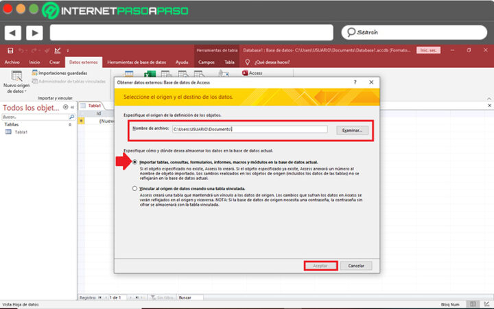 Importar Datos en Access 】Guía Paso a Paso 2025