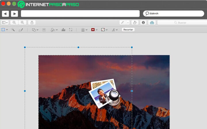 Recortar una Imagen en MacOS 】 Guía Paso a Paso 2025