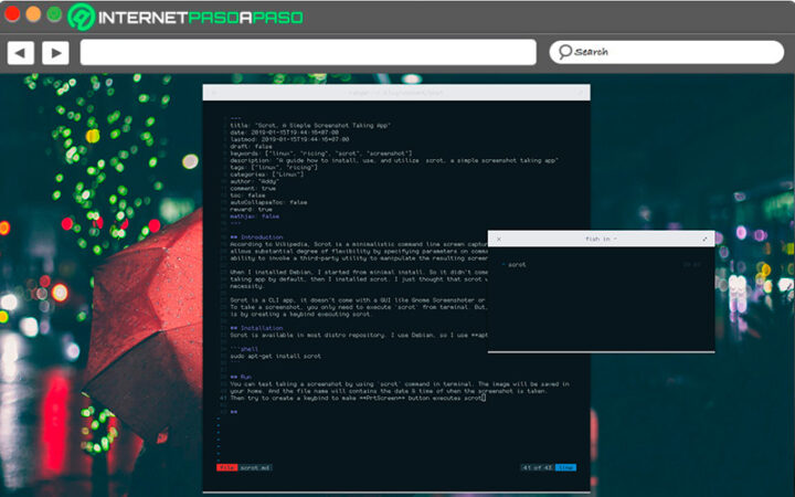 Hacer Screenshot con Raspberry Pi 】Guía Paso a Paso 2025