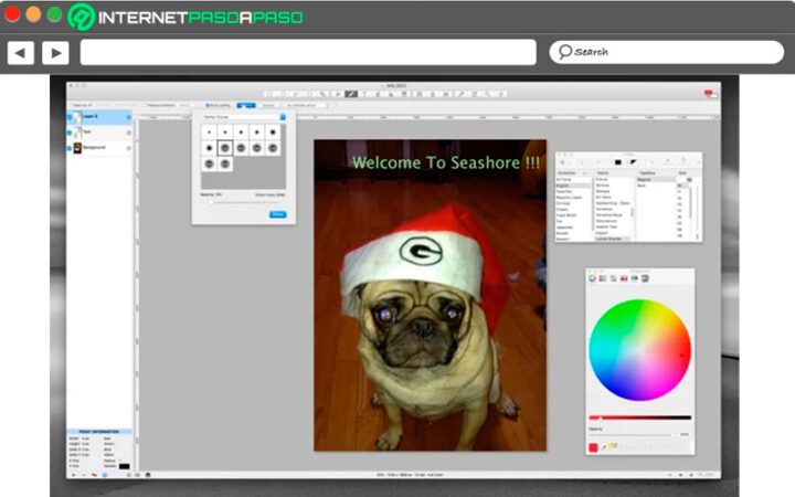 How to install Paint for MacOS? Best Windows Program Alternatives