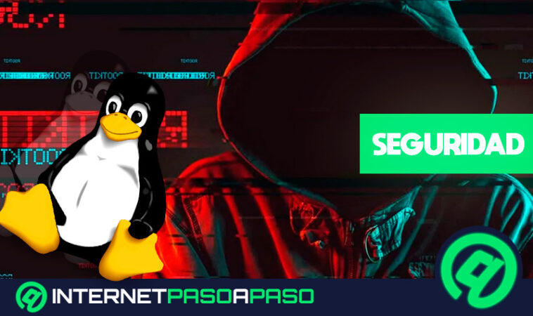 Abrir Programa desde Consola en Linux 】Guía paso a Paso 2025