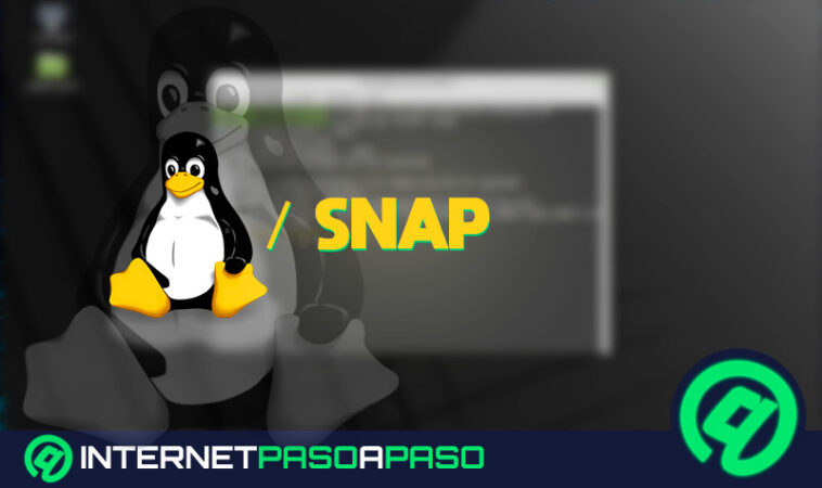 Snaps de Linux 】¿Qué Son? + Ventajas de Usarlos 2025