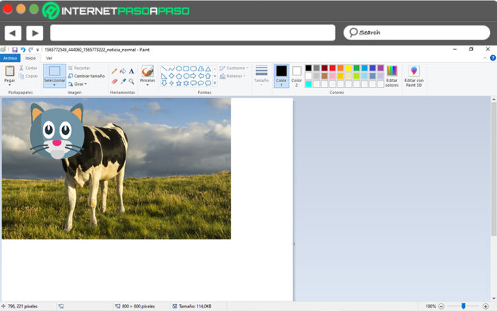 Paint 】¿Qué Es? + Trucos y Alternativas 2026