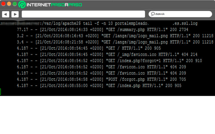 Visualziar Ficheros en Linux 】Guía Paso a Paso 2026