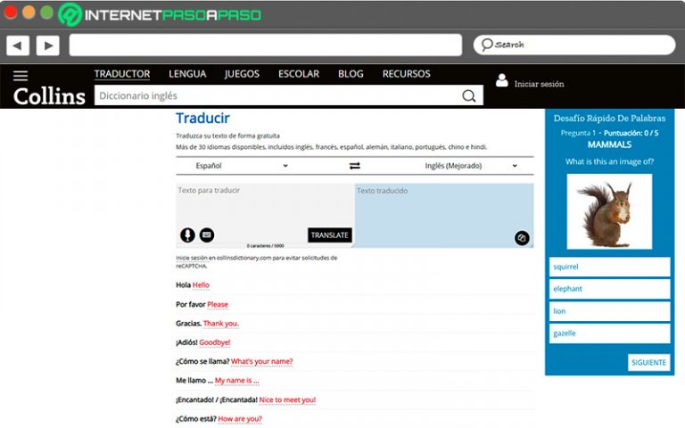 25 Traductores Alternativos al Google Translator 】Lista 2025