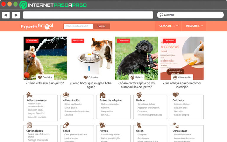 25 Webs sobre Perros, Gatos y Mascotas 】Lista 2025