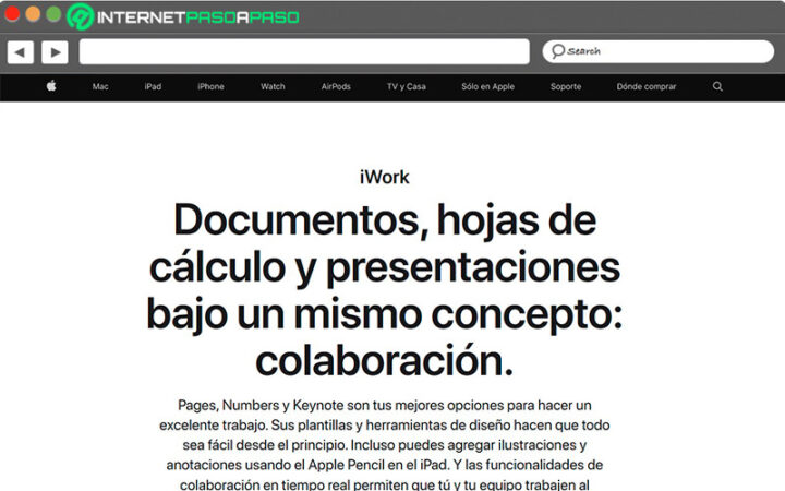 Instalar Microsoft Office en MacOS 】 Guía Paso a Paso 2025