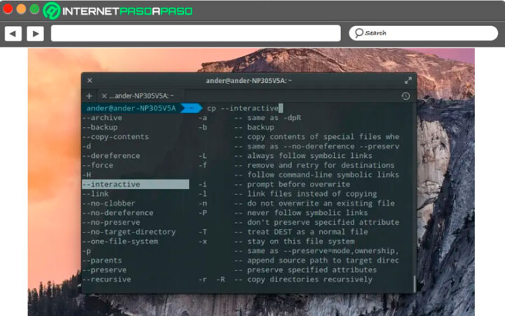 Shell de Linux 】¿Qué Es? + Características 2025
