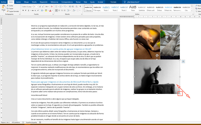 How to group images in Microsoft Word documents? step by step guide