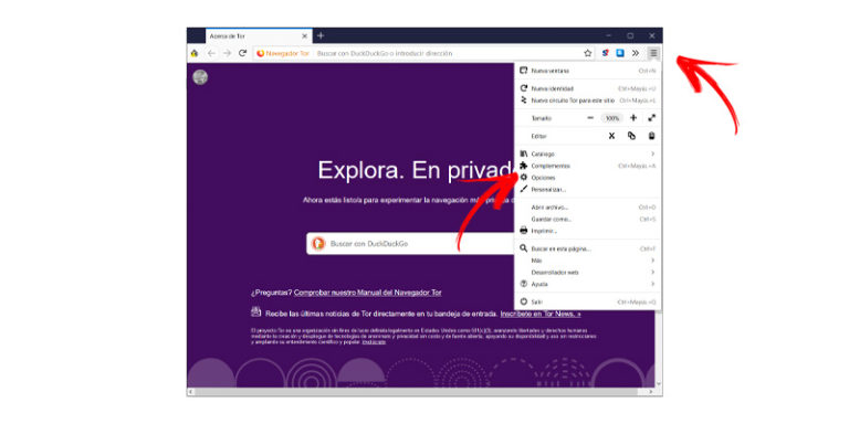 NAVEGADOR TOR 】 ¿Qué es y cómo funciona? 2025